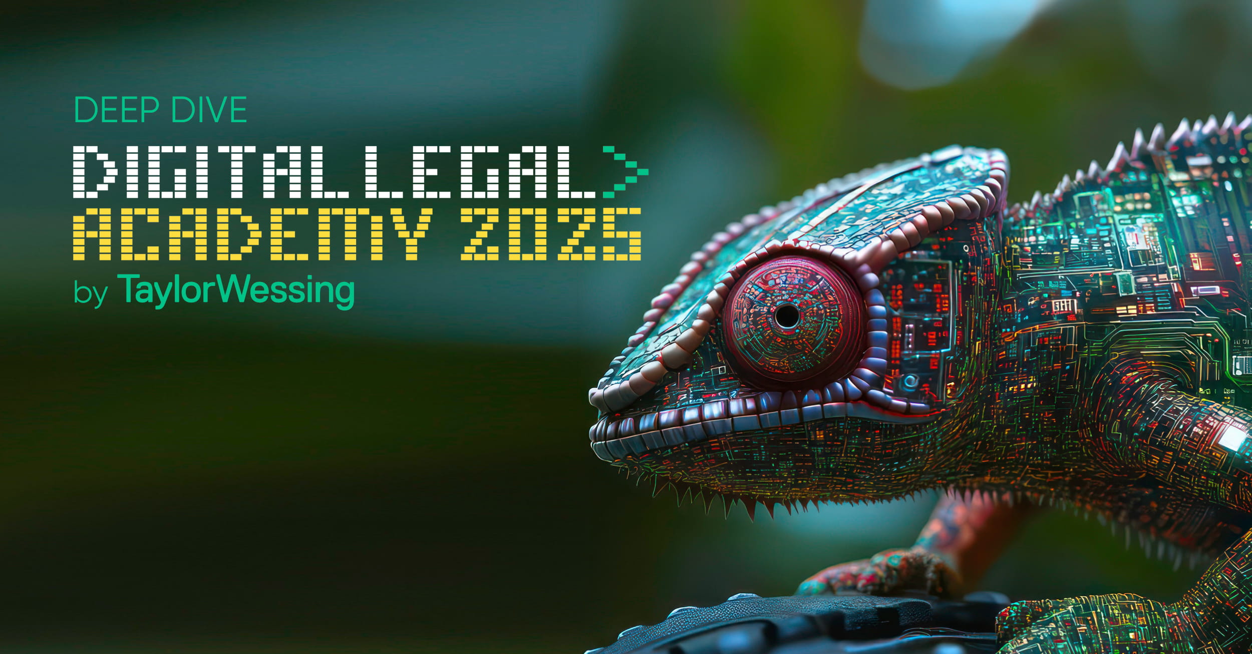 GPAI Code of Practice Webinar 年 Digital Legal Academy 2025