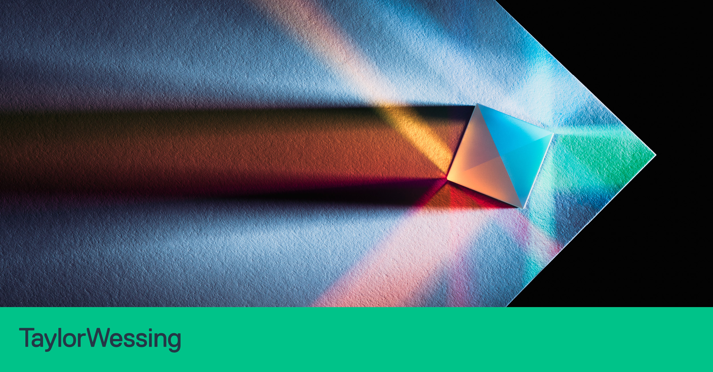Our lighter approach to IPEC litigation claims