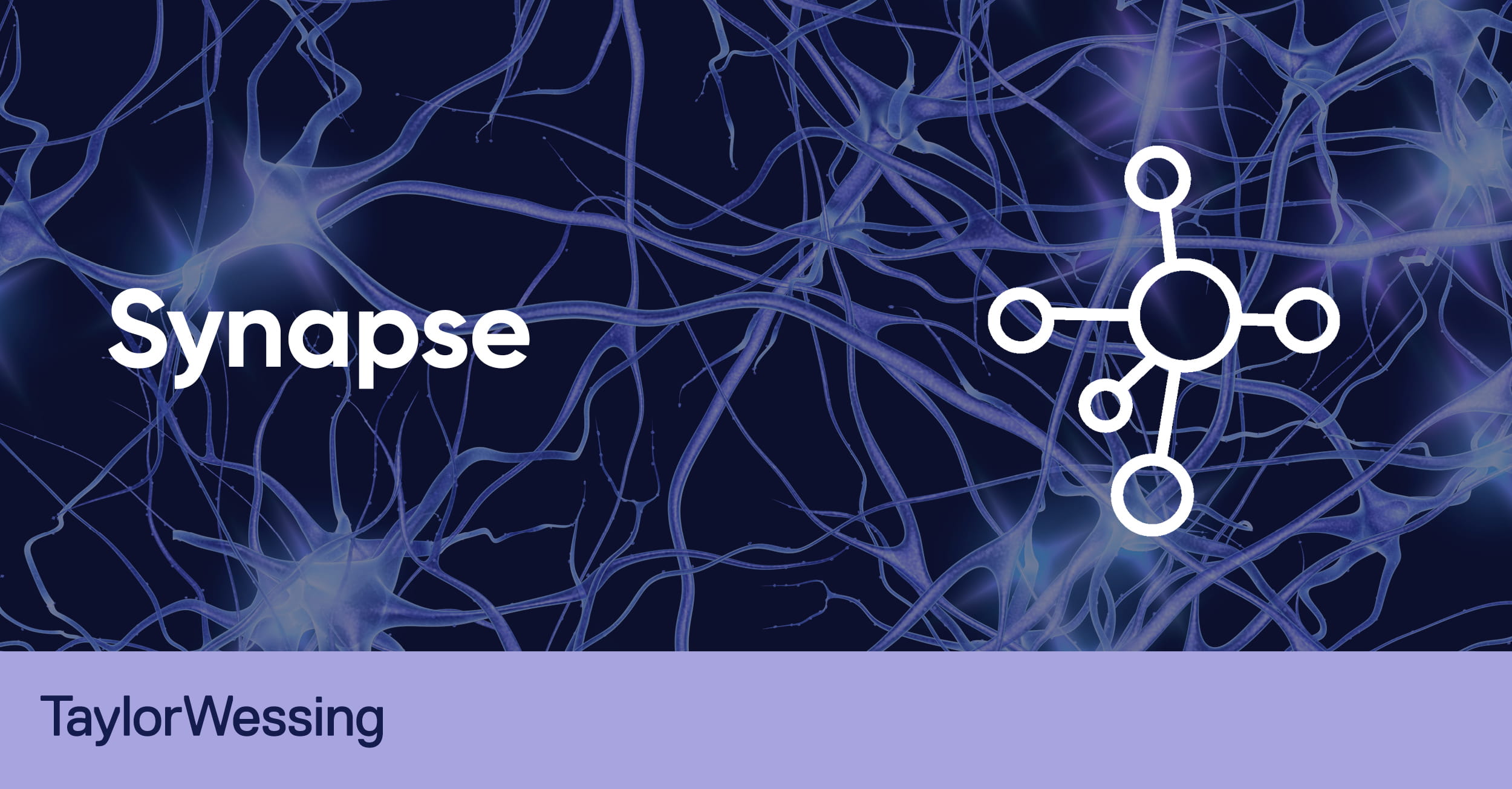 Synapse | Corrective actions: dos and don’ts