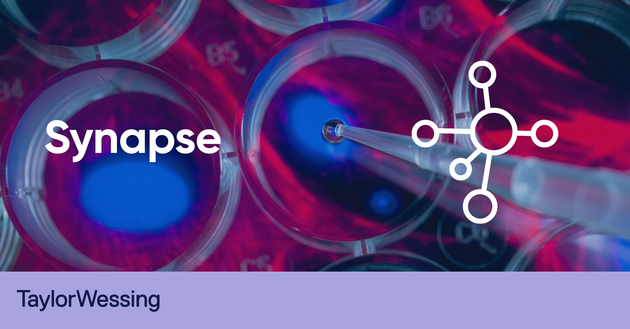 The regulation of clinical trials in which AI is deployed