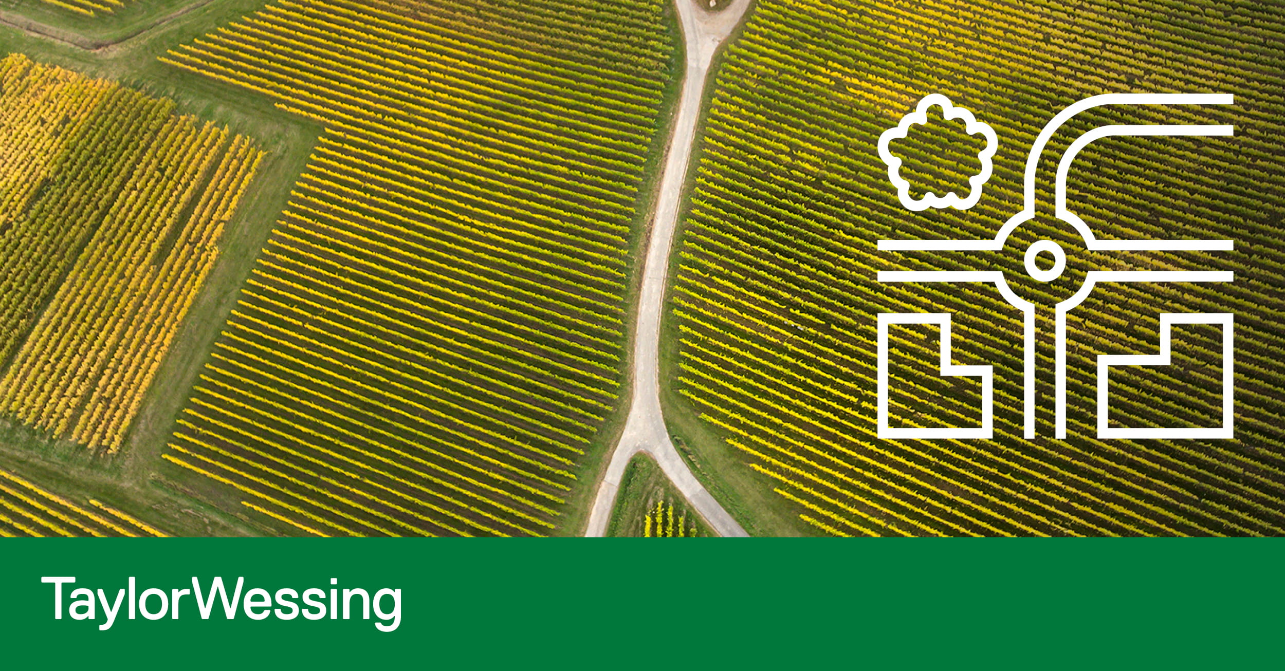 Implications of the Delay to the CSRD Implementation Law